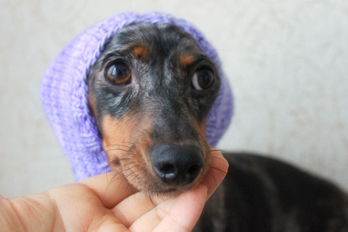 KNITTING PATTERN Dog Hat Pet Hat Dachshund Hat Mini - Etsy
