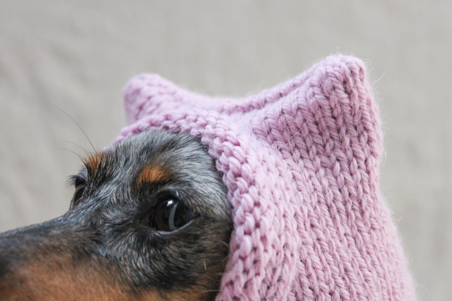 Pink Dog Hat in All Natural Wool Yarn - Etsy