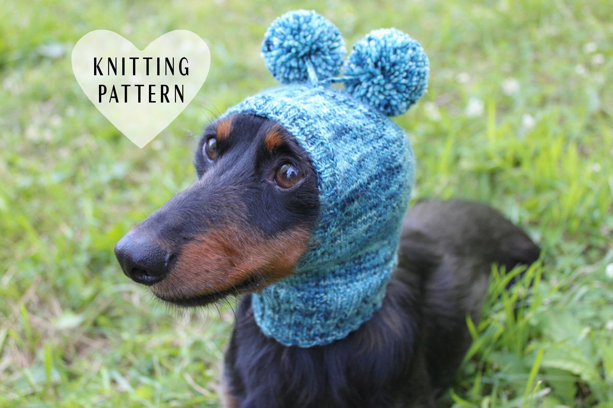KNITTING PATTERN Small Dog Hat Doxie Hat Miniature - Etsy