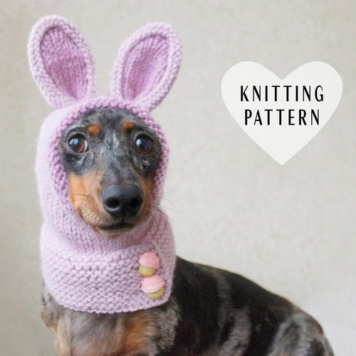 KNITTING PATTERN Dog Hat Dachshund Hat Pet Clothes Pet - Etsy
