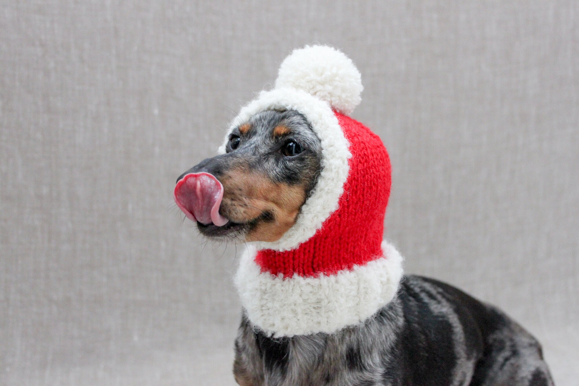 Small Dog Santa Hat Dachshund Santa Hat Dachshund Clothes | Etsy