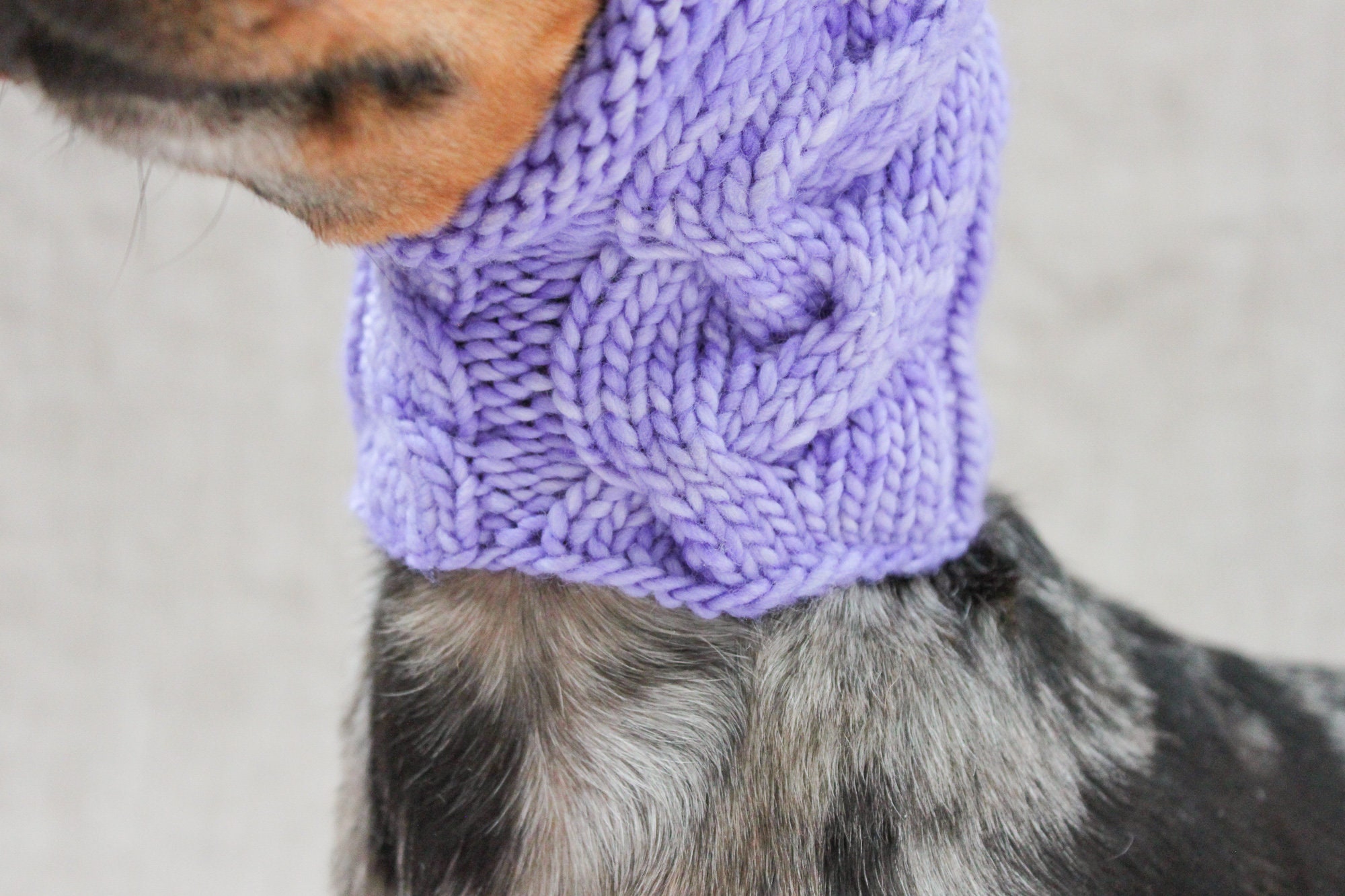 KNITTING PATTERN Cabled Dog Hat Knitted Dog Hat Dachshund | Etsy