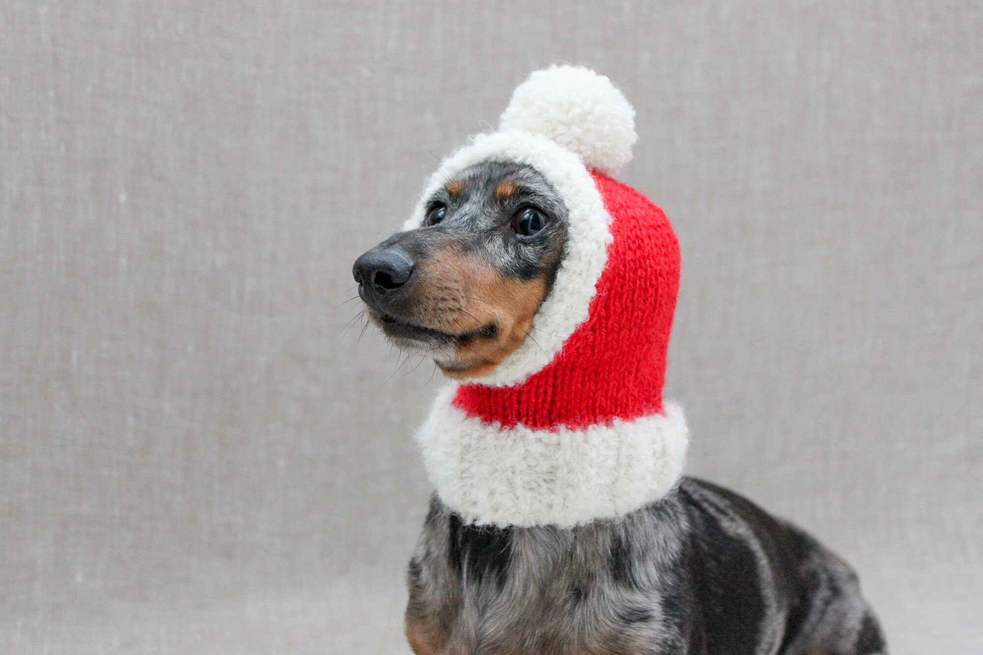 Small Dog Santa Hat Dachshund Santa Hat Dachshund Clothes | Etsy