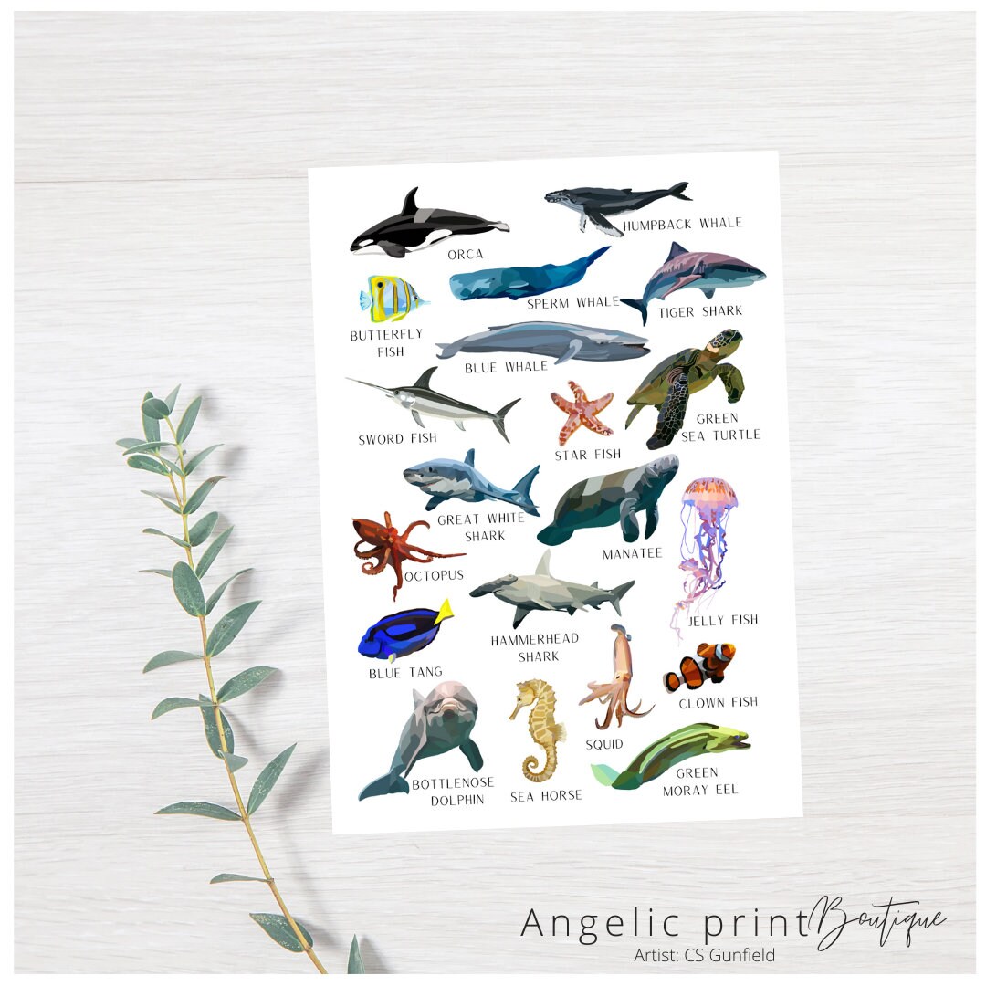 Sea Life Digital Print • Sea Life Wall Art • Learning Chart • Under the ...