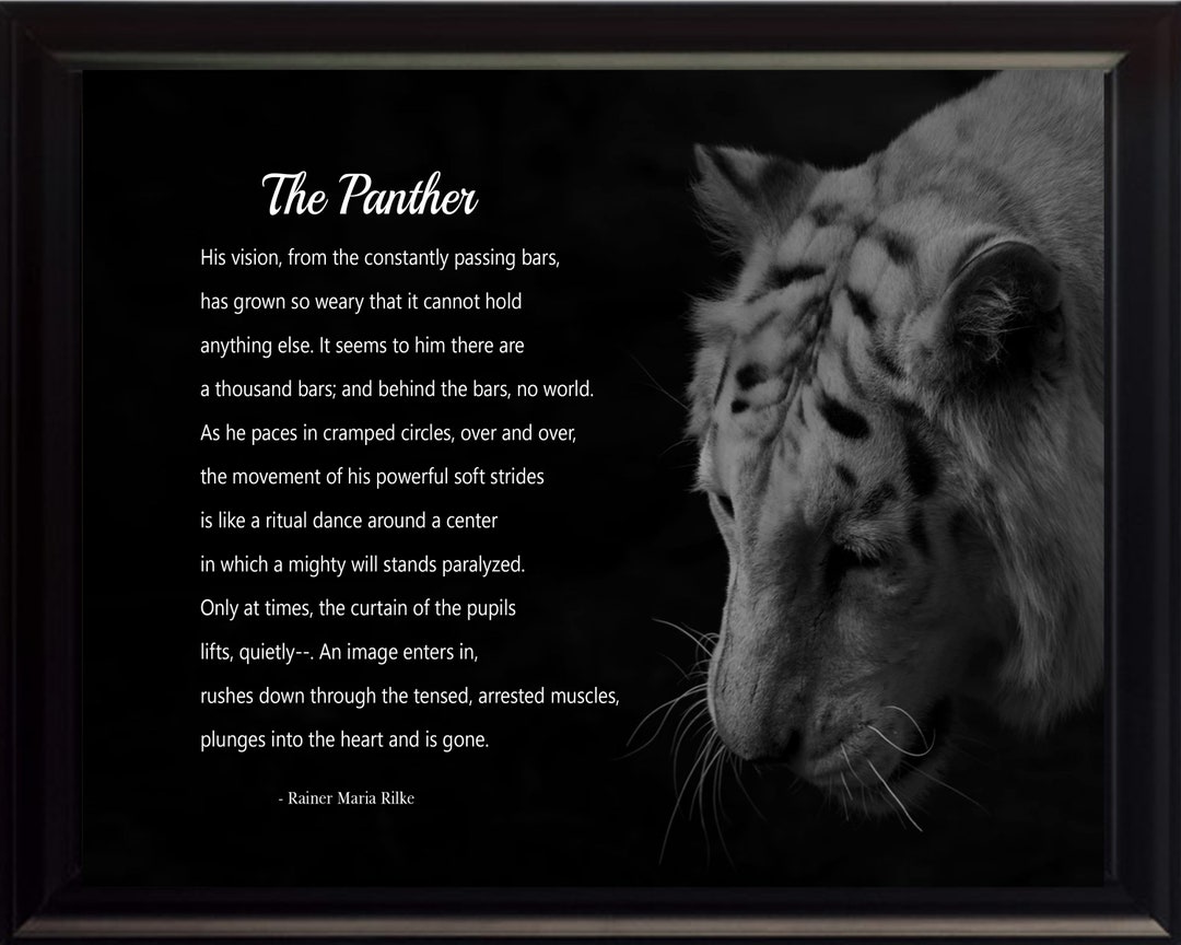 Rainer Maria Rilke der Panther Poster, Druck, Bild oder gerahmt eisern ...