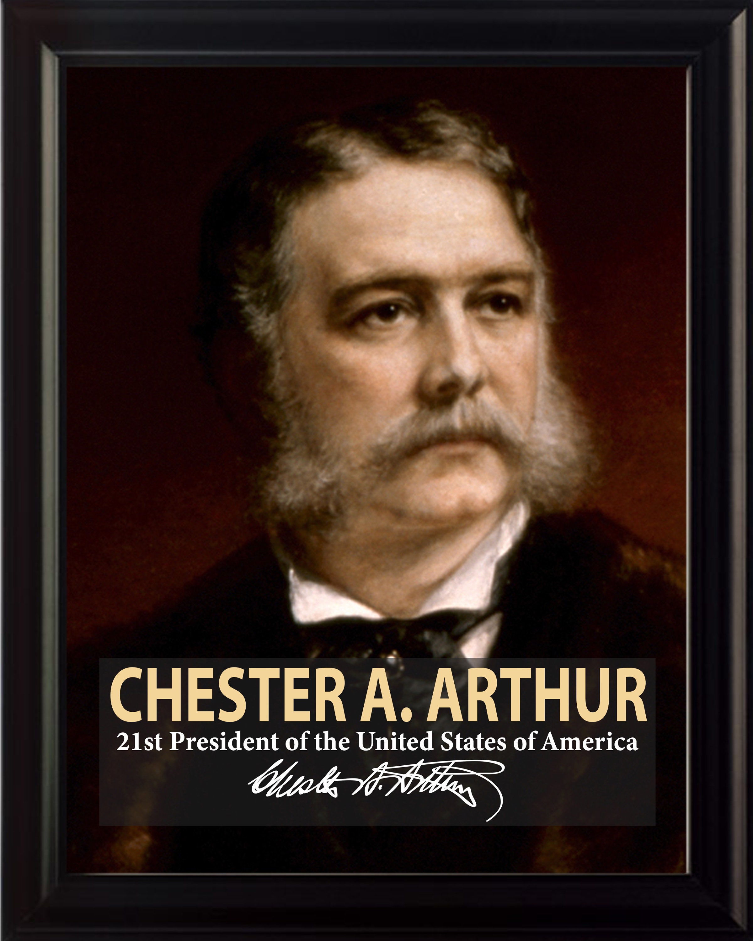 Chester A. Arthur 21st President Poster Picture or Framed Wall | Etsy