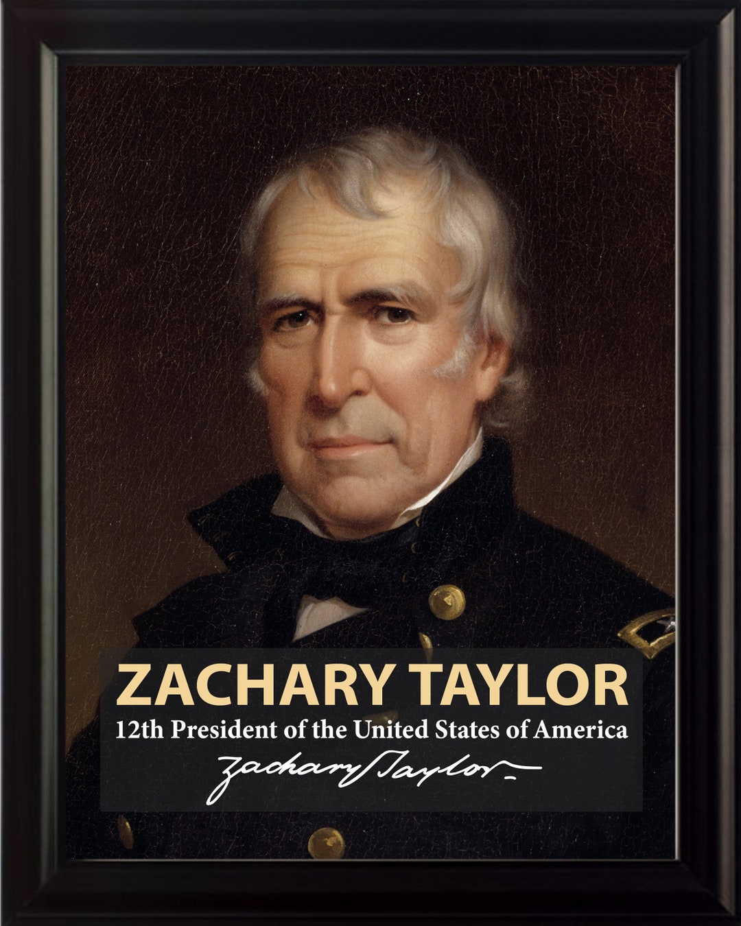 Zachary Taylor 12th President Poster Picture or Framed Wall Art - Etsy