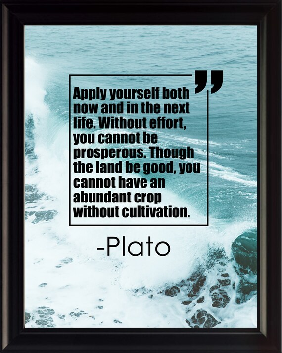 Plato Apply Yourself Poster Print Picture or Framed | Etsy