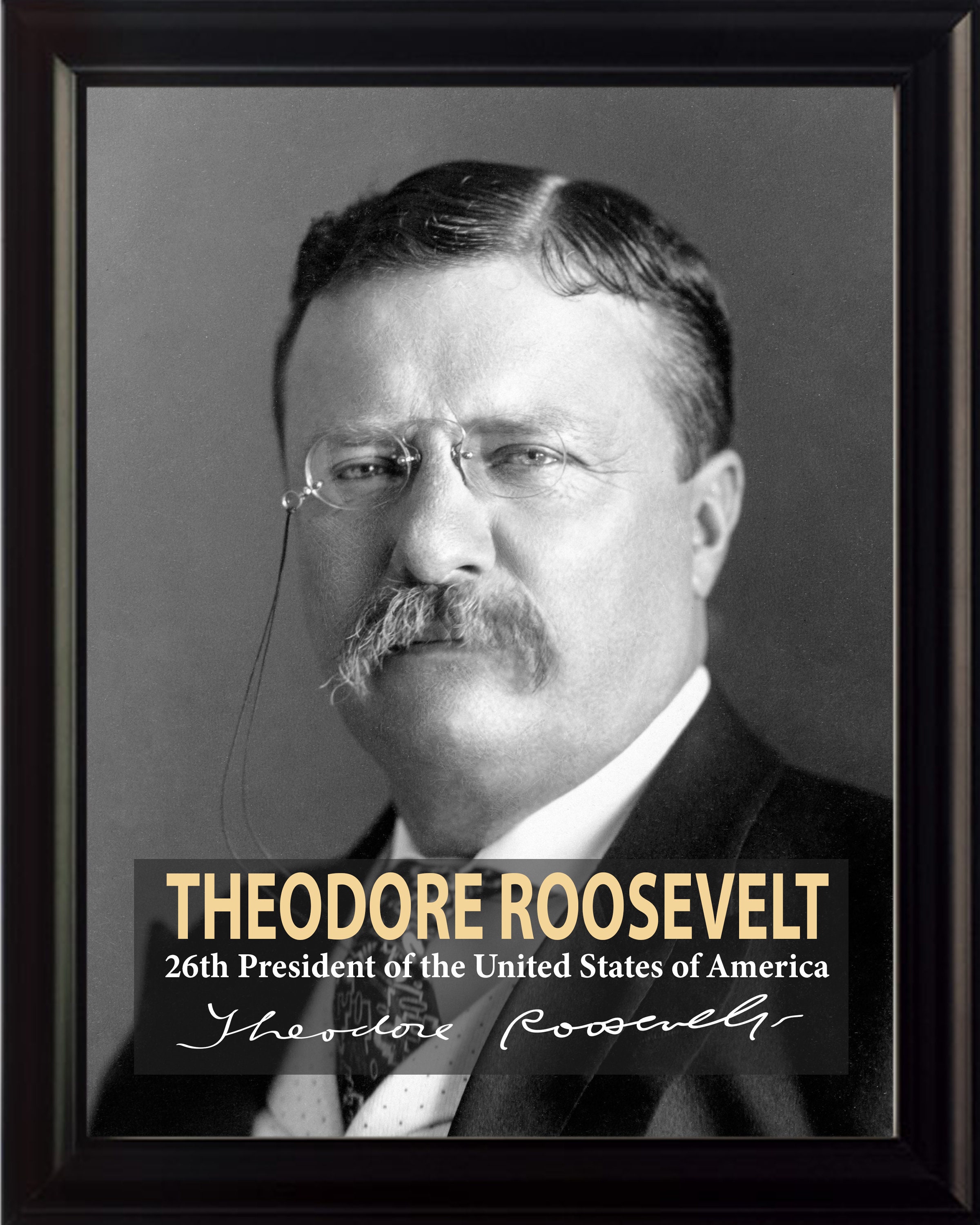 Theodore Roosevelt 26th President Poster Picture or Framed | Etsy