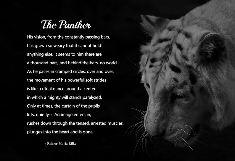Rainer Maria Rilke der Panther Poster Druck Bild oder - Etsy.de