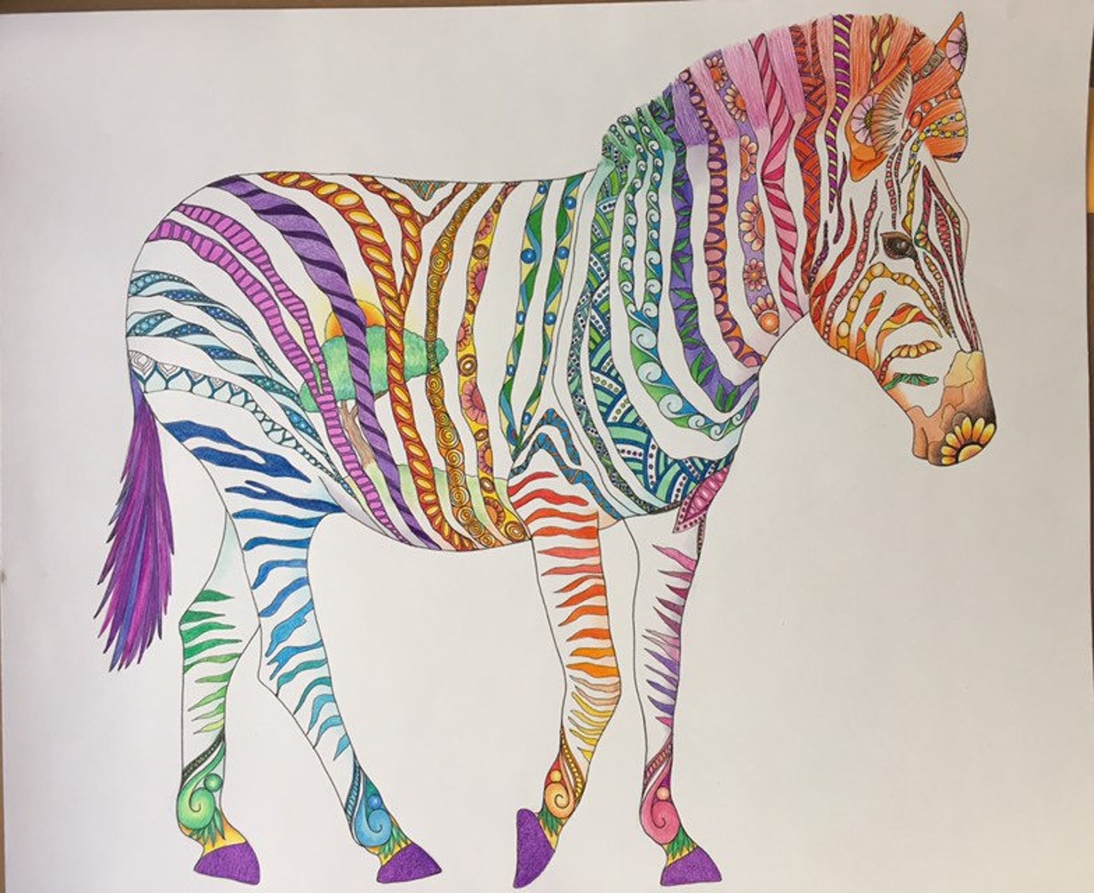 Animal Art Zebra Art Zebra Drawing Zentangle Zebra Colored | Etsy