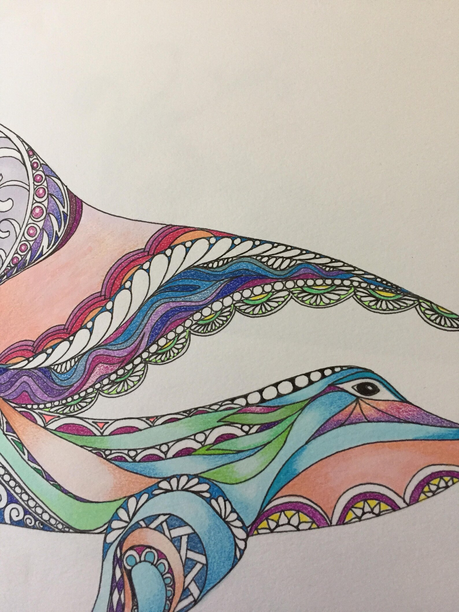 Zentangle Killer Whale, Whale Art, Killer Whale Art, Colored Zentangle ...