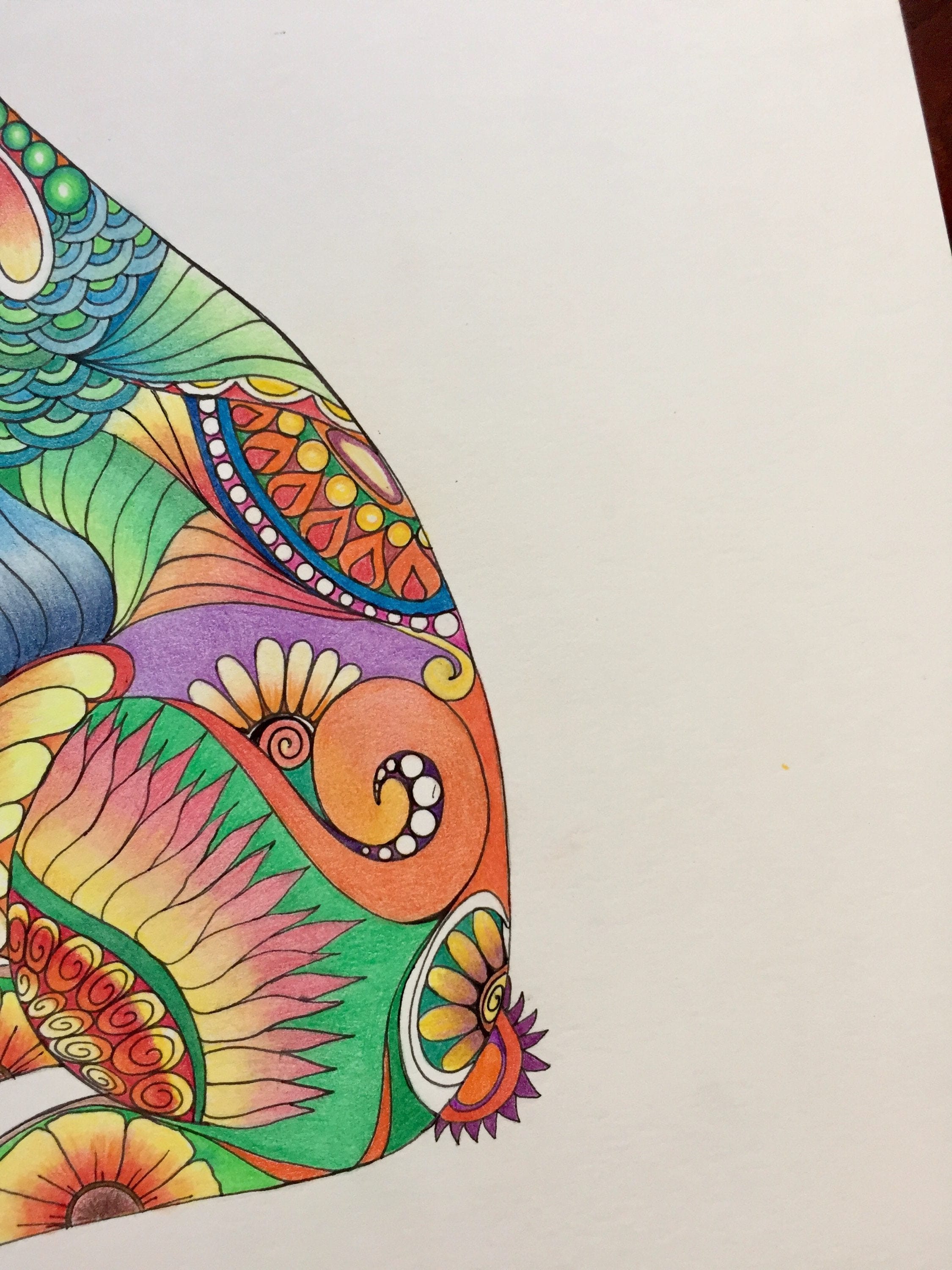 Zentangle Rabbit Zentangle Bunny Colored Bunny Colored Rabbit Bunny Art ...