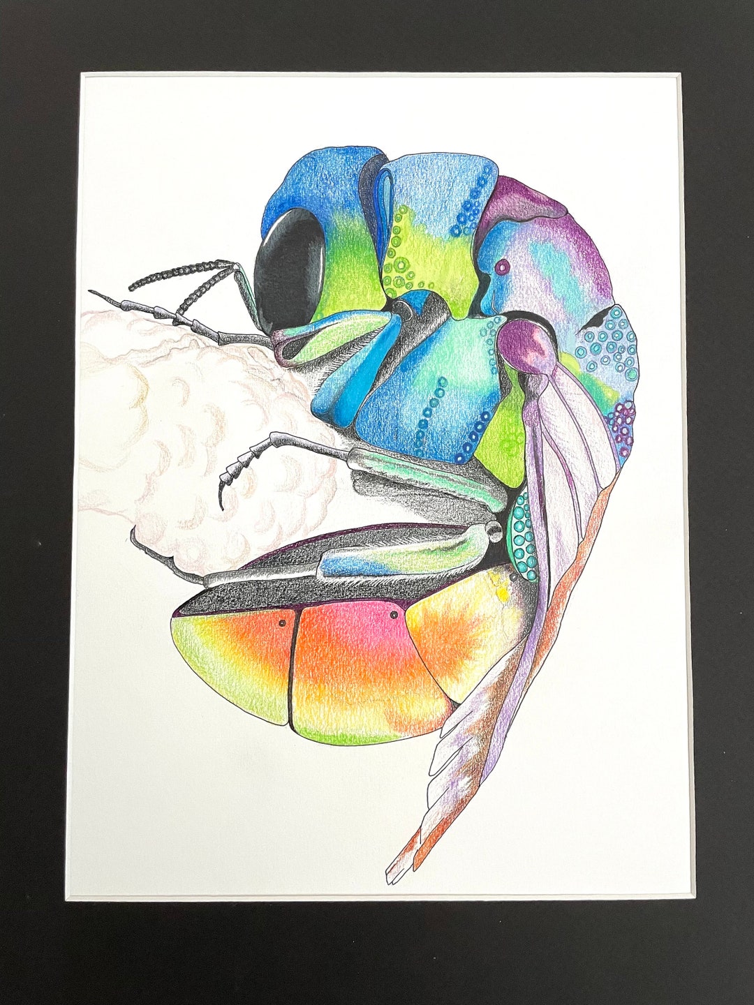 Parasitic Wasp: 14x11 in Wasp Wasp Drawing Insect Drawing Flying Insect ...