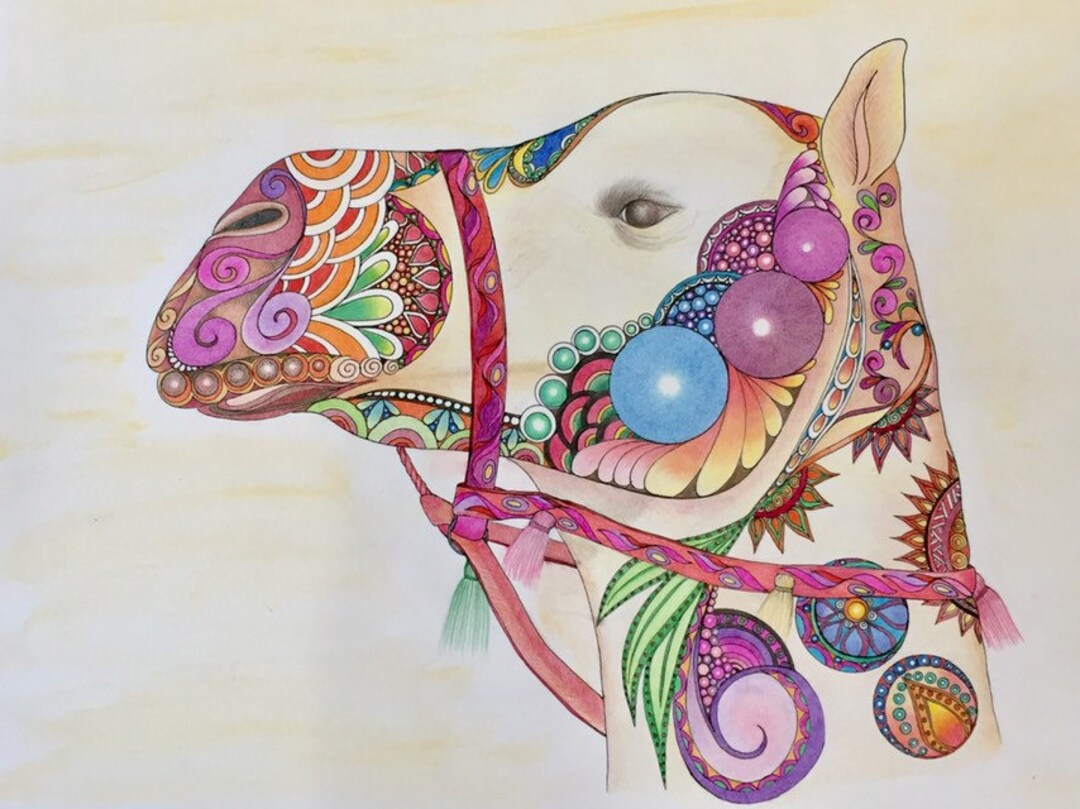 Zentangle Camel Colored Zentangle Desert Camel Camel Colorful Camel ...