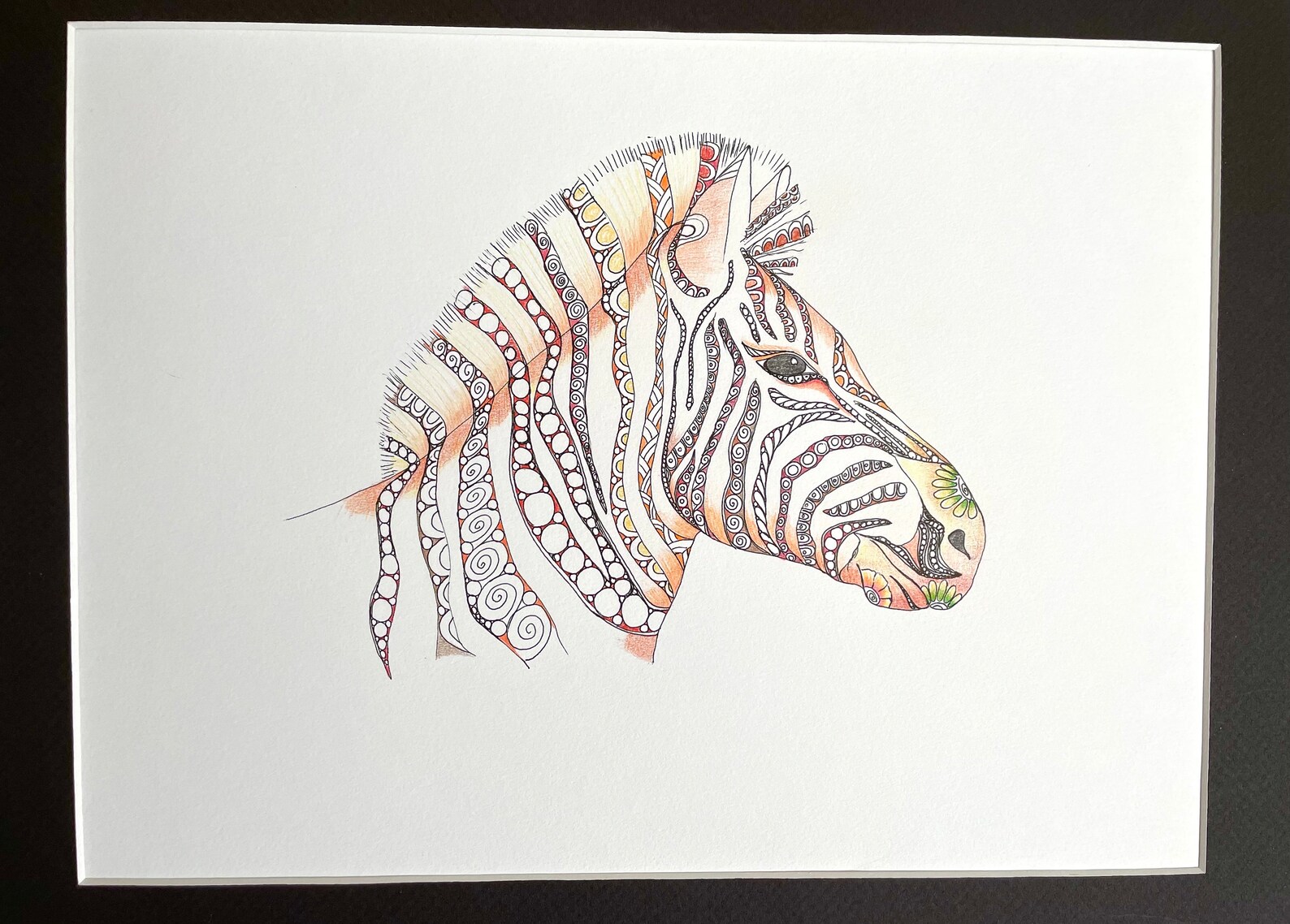 Zentangle Zebra Head: 12 X 9 In. Safari Art Zebra Art Colored Zebra ...