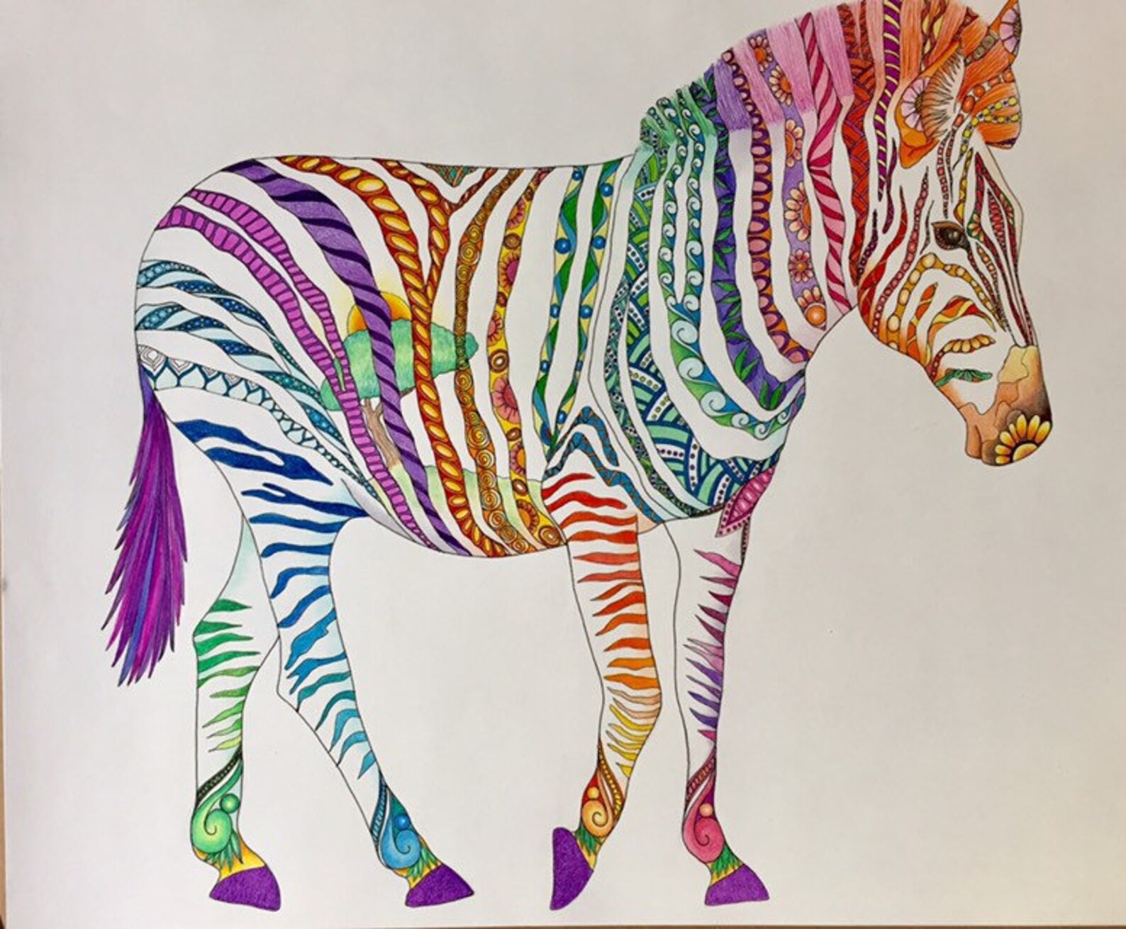 Animal Art Zebra Art Zebra Drawing Zentangle Zebra Colored - Etsy