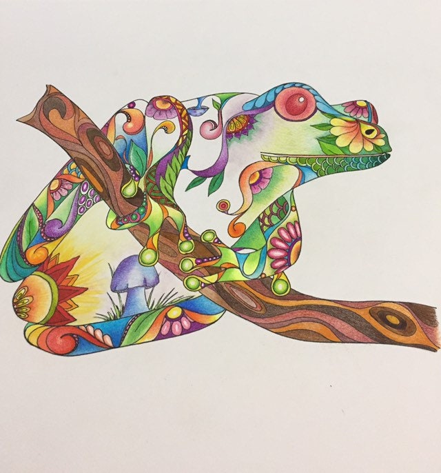 Zentangle Art Zentangle Frog Art Tree Frog Frog Drawing Frog Wall Art ...