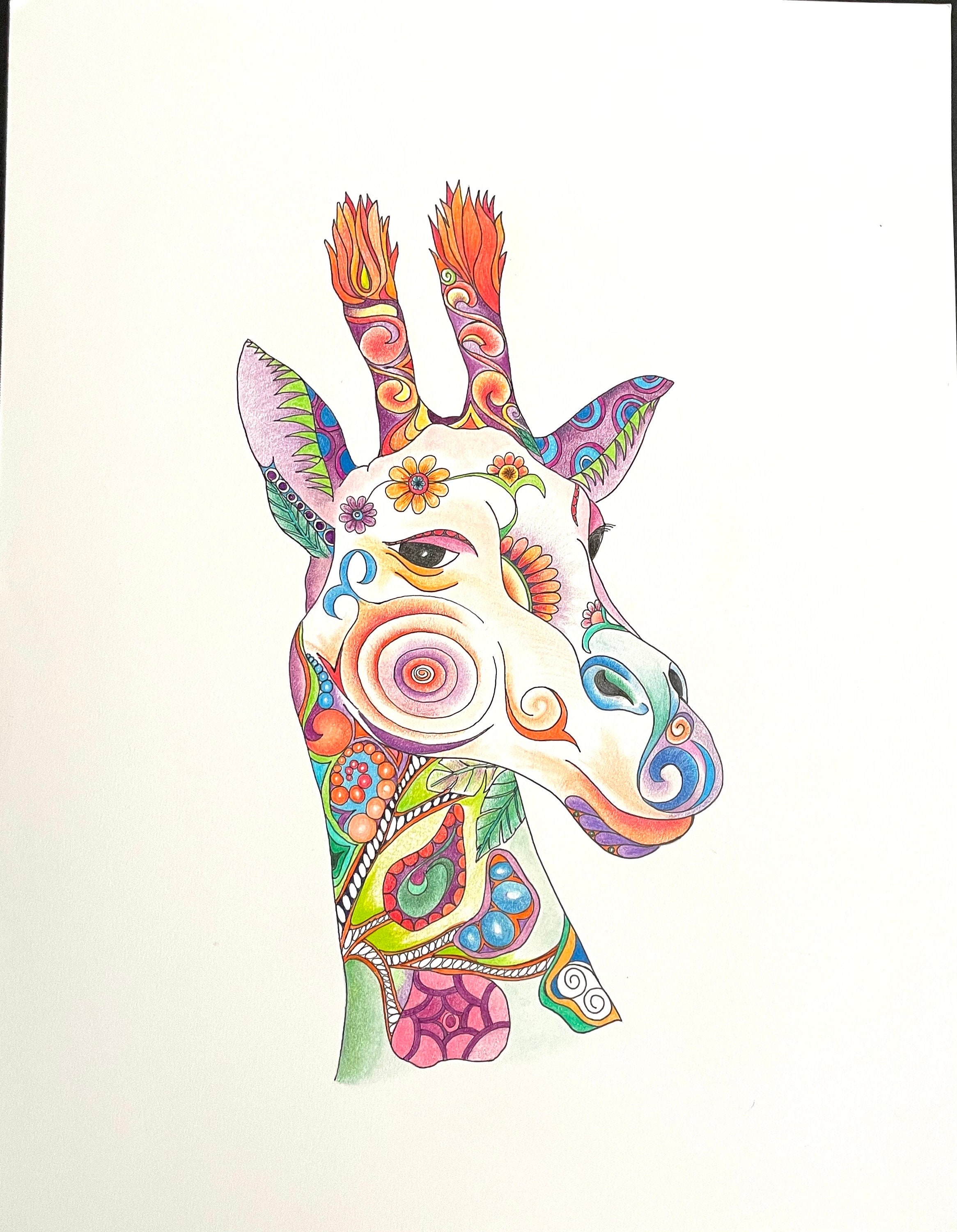 Giraffe:14x11 in Zentangle Giraffe Giraffe Art Animal Art Color Pencil ...