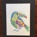 Zentangle Toucan, Zentangle Art, Colored Zentangle, Toucan Art, Bird ...