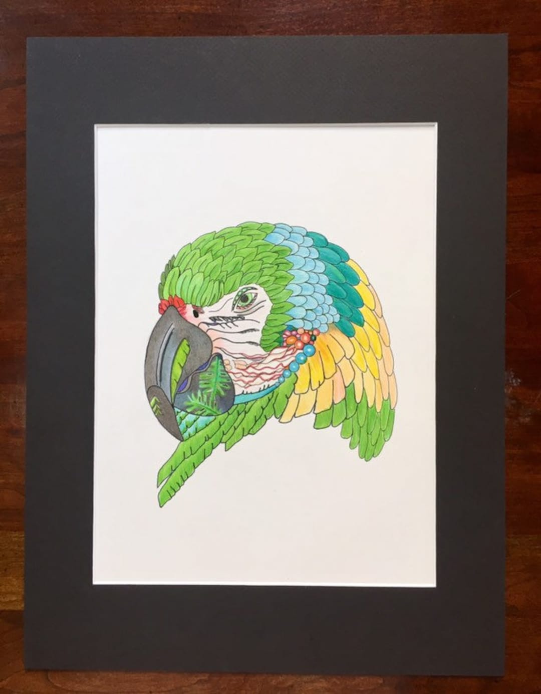 Green Parrot Drawing