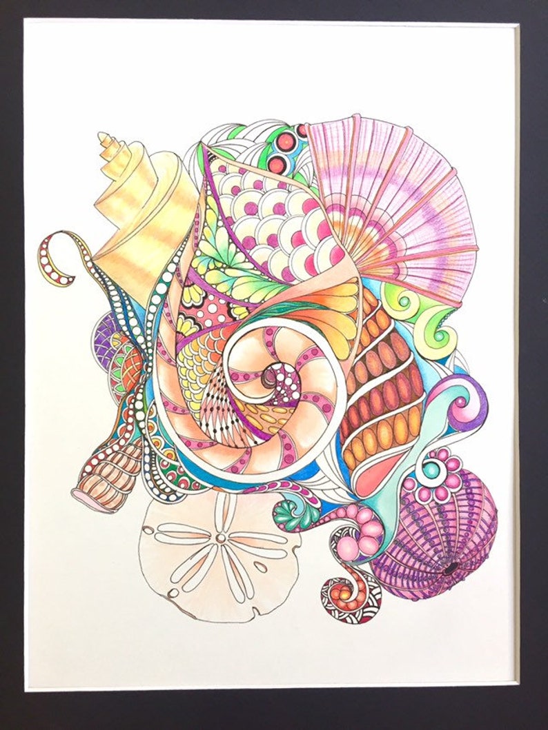Seashells Zentangle Shells Seashell Art Marine Art Colored Shells Shell ...