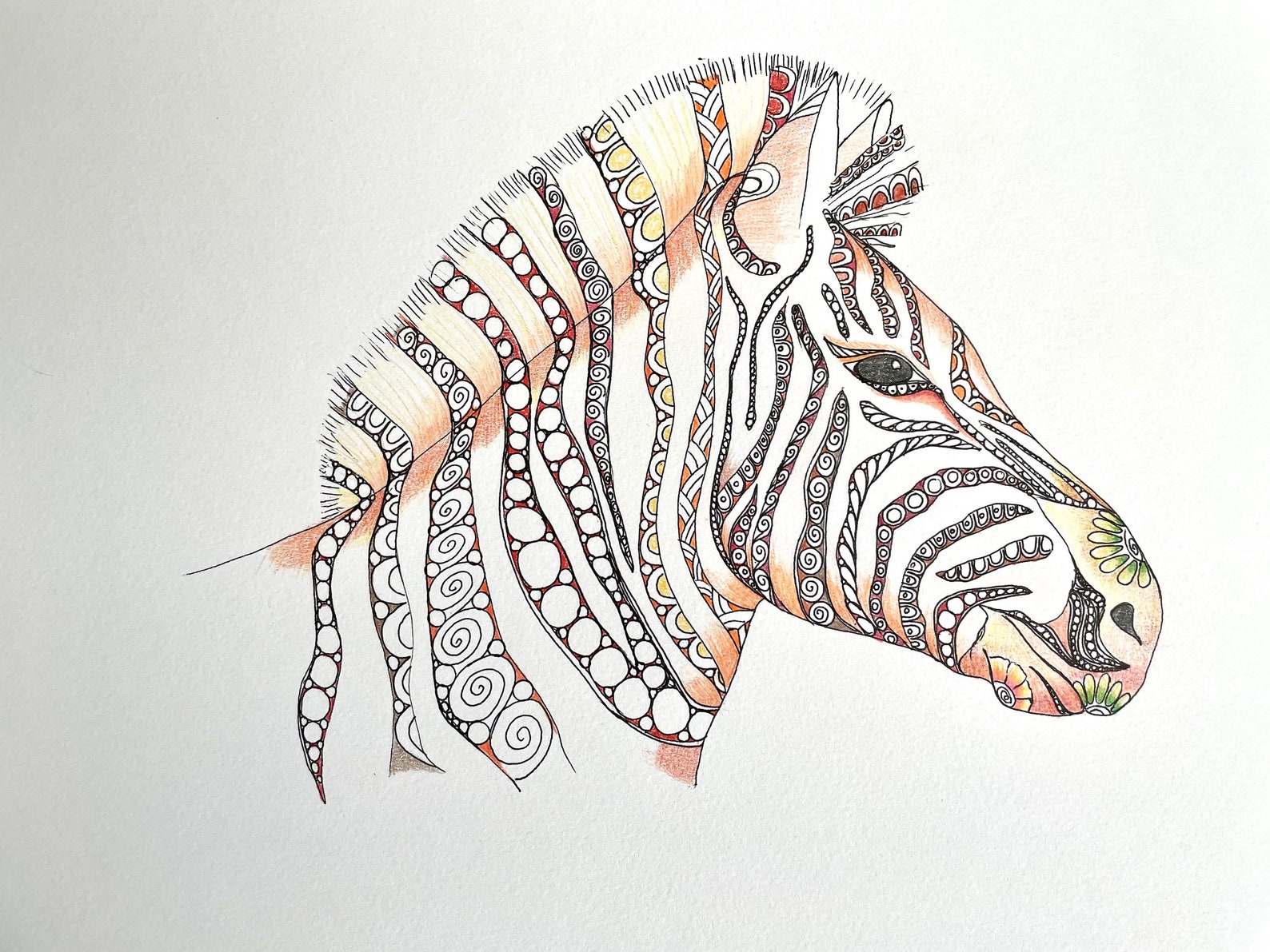 Zentangle Zebra Head: 12 X 9 In. Safari Art Zebra Art Colored Zebra ...