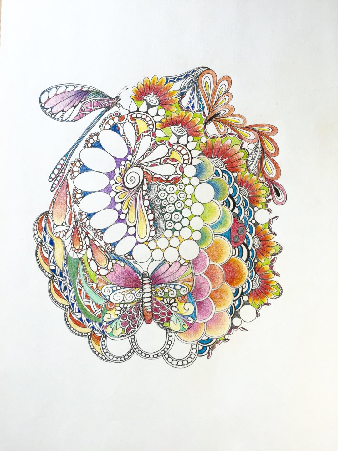 Zentangle Insect Abstract: 9 X 12 In. Insect Art - Etsy