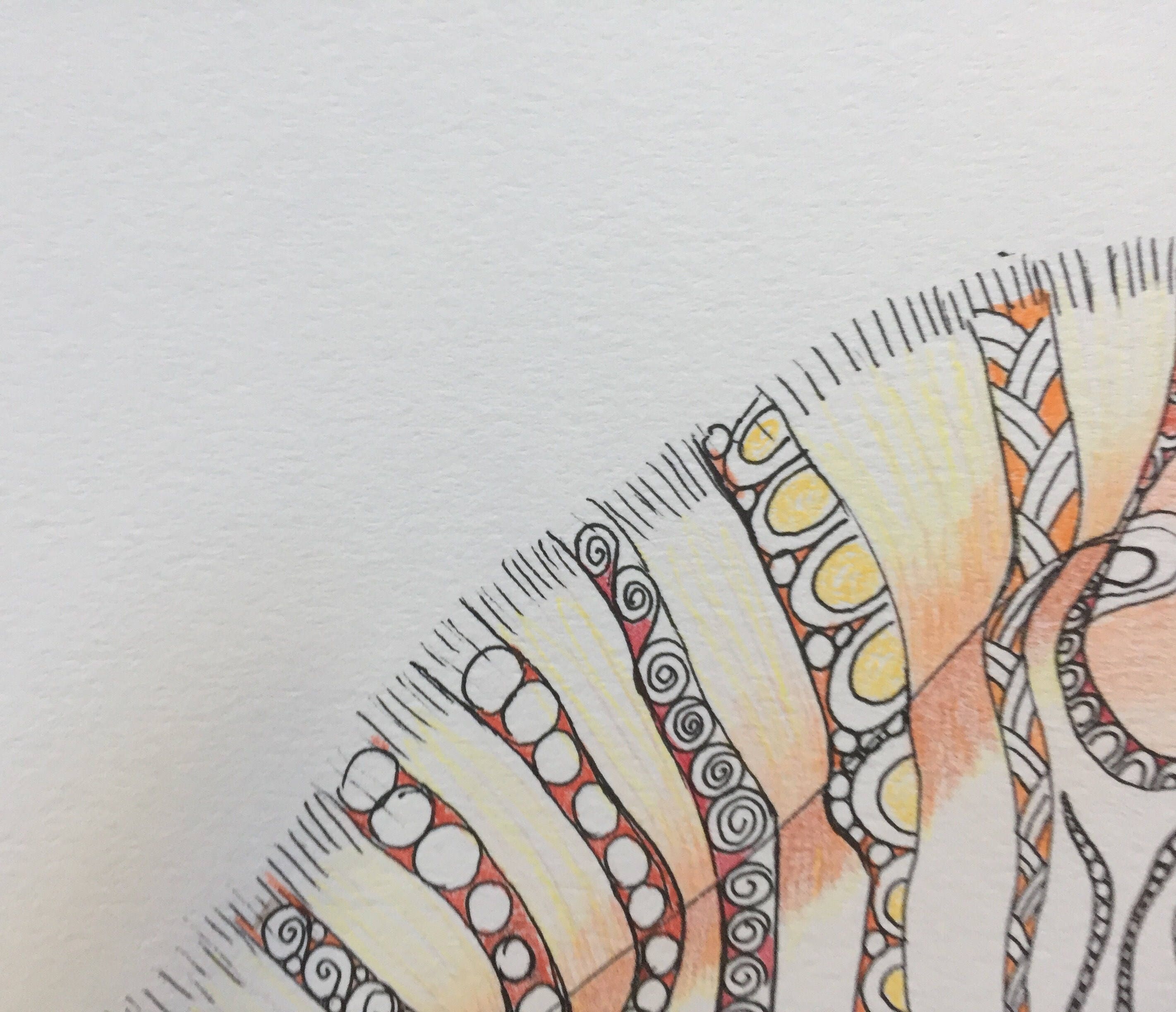 Zentangle Zebra Head: 12 X 9 In. Safari Art - Etsy