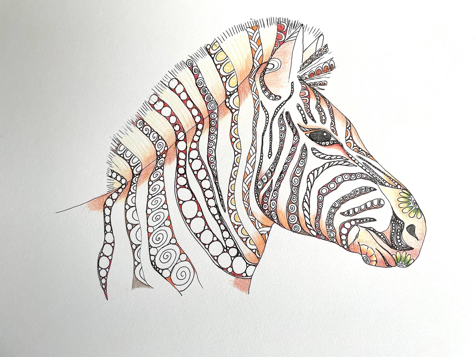 Zentangle Zebra Head: 12 X 9 In. Safari Art Zebra Art Colored Zebra ...