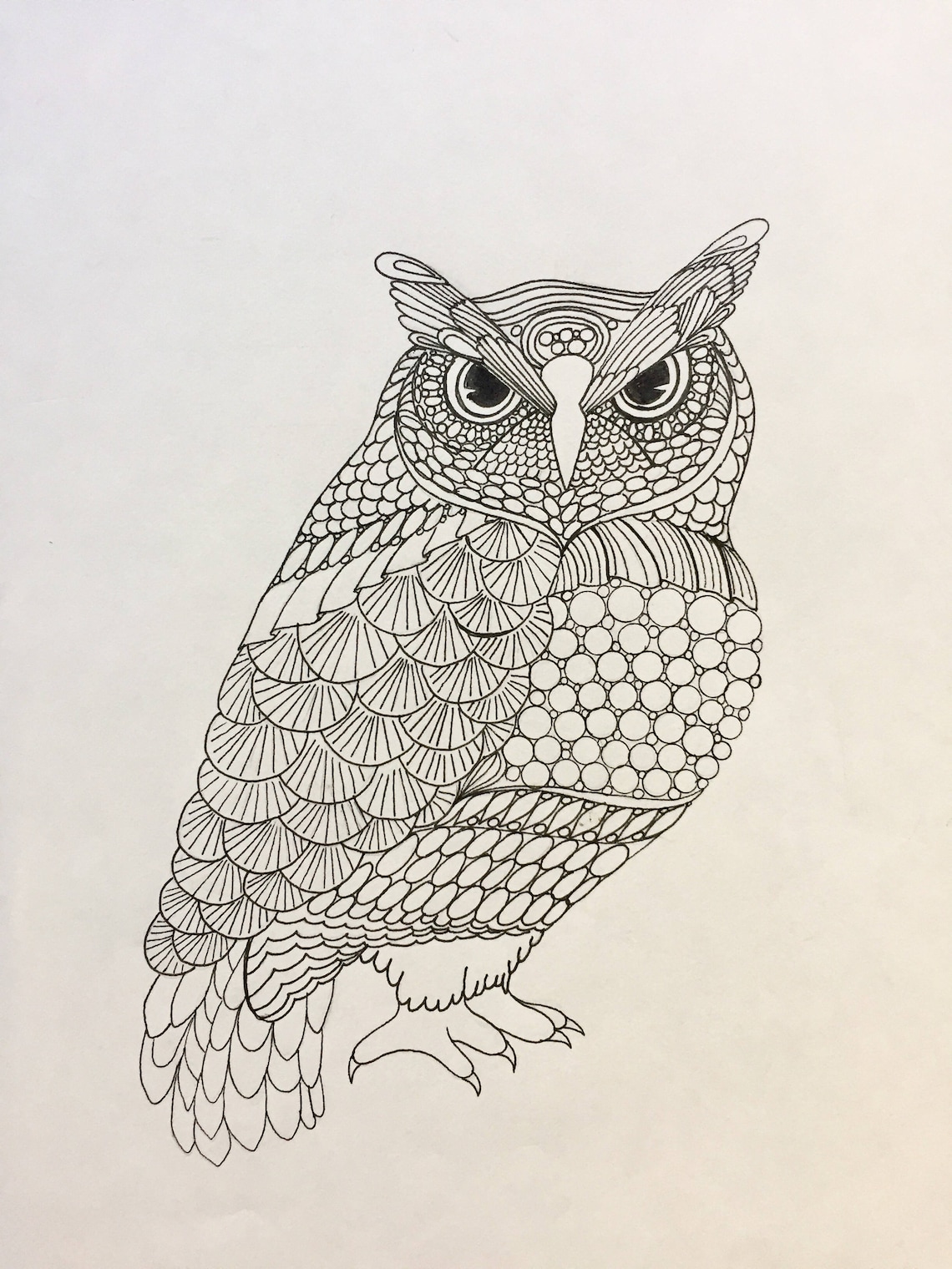 Zentangle Owl: 12x9 in Owl Art Bird Art Zentangle Bird Zentangle Art ...