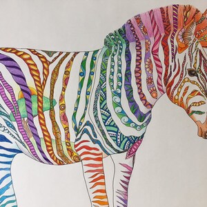 Animal Art Zebra Art Zebra Drawing Zentangle Zebra Colored | Etsy