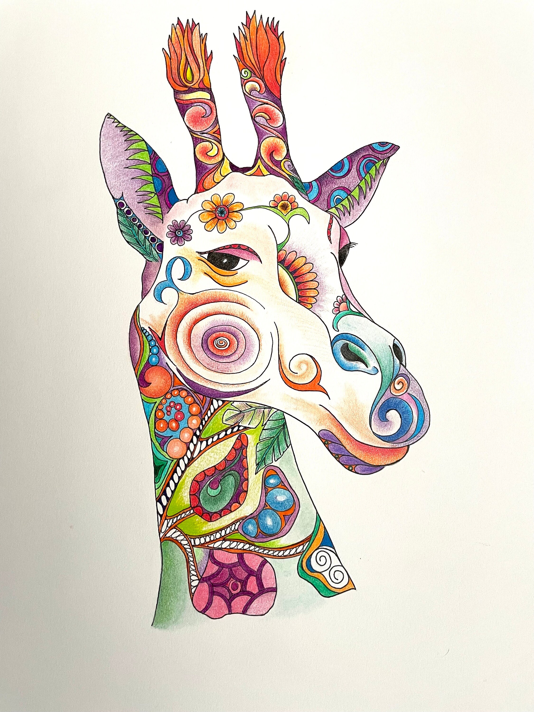 Giraffe:14x11 in Zentangle Giraffe Giraffe Art Animal Art Color Pencil ...