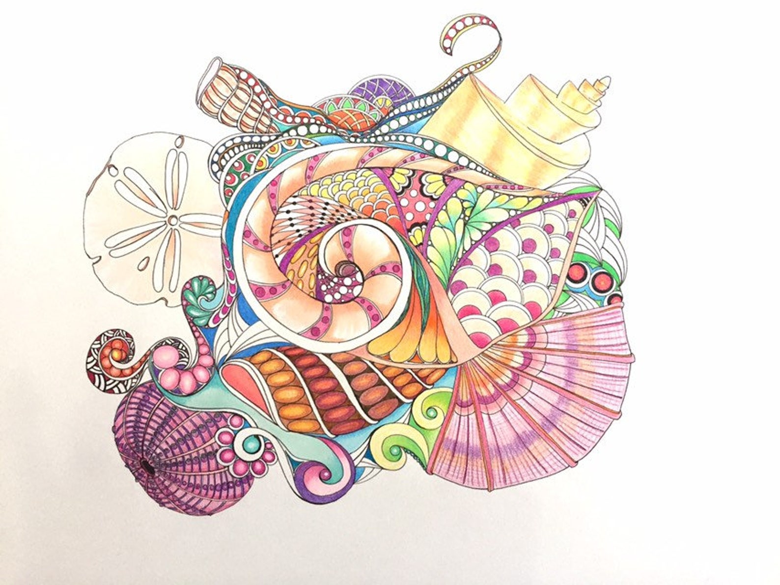 Seashells Zentangle Shells Seashell Art Marine Art Colored Shells Shell Art Marine Shells ...