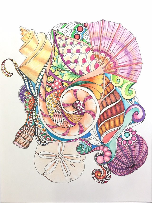 Seashells Zentangle Shells Seashell Art Marine Art Colored Shells Shell ...