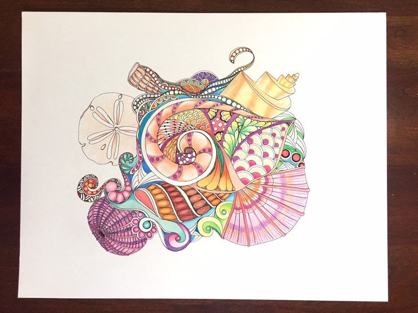 Seashells Zentangle Shells Seashell Art Marine Art Colored Shells Shell ...