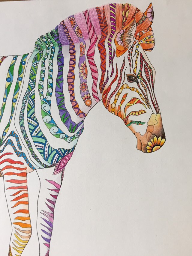 Zebra Art:14x11 in Animal Art Zebra Drawing Zentangle Zebra Colored ...