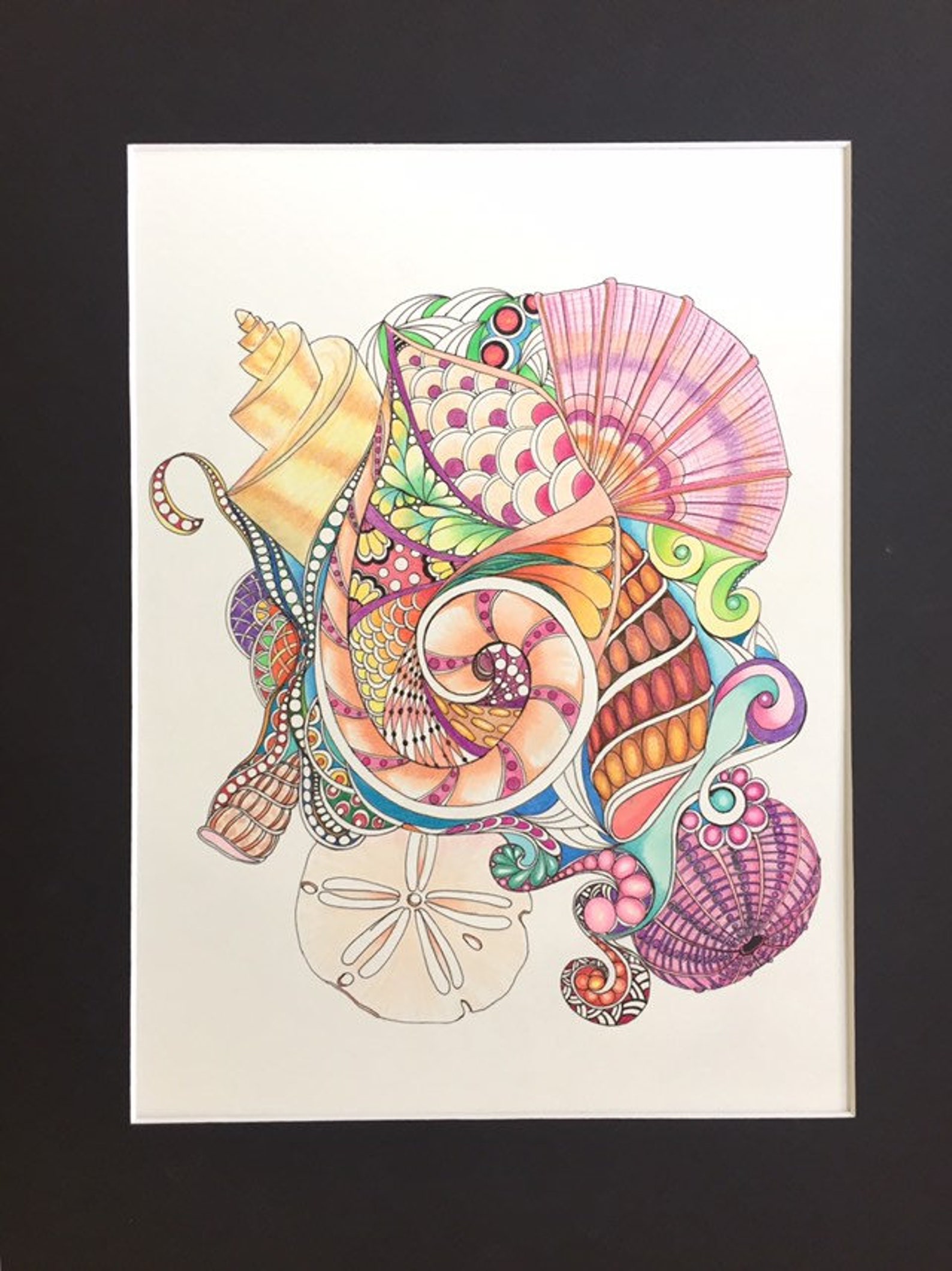 Seashells Zentangle Shells Seashell Art Marine Art Colored Shells Shell ...