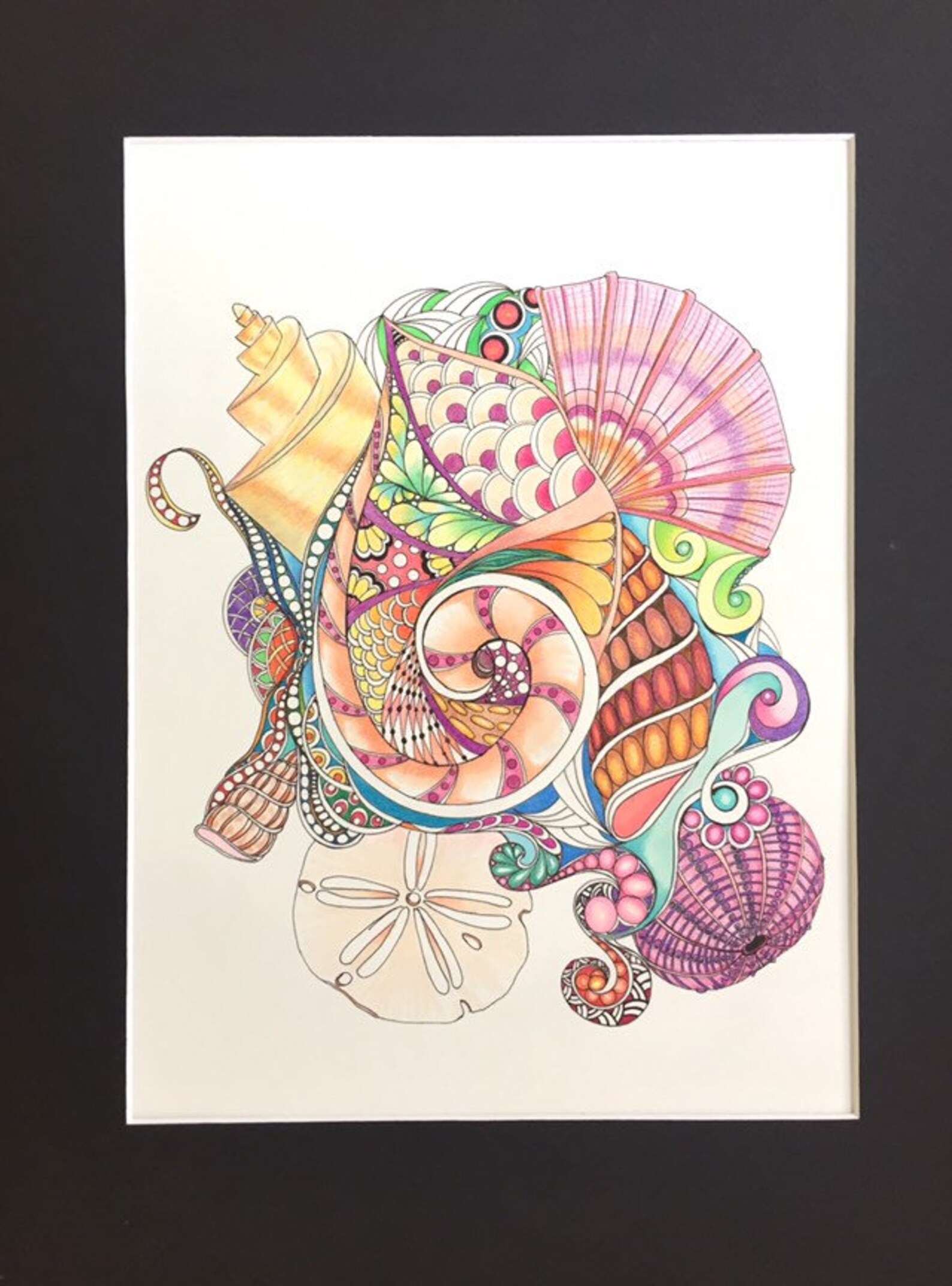 Seashells Zentangle Shells Seashell Art Marine Art Colored Shells Shell ...