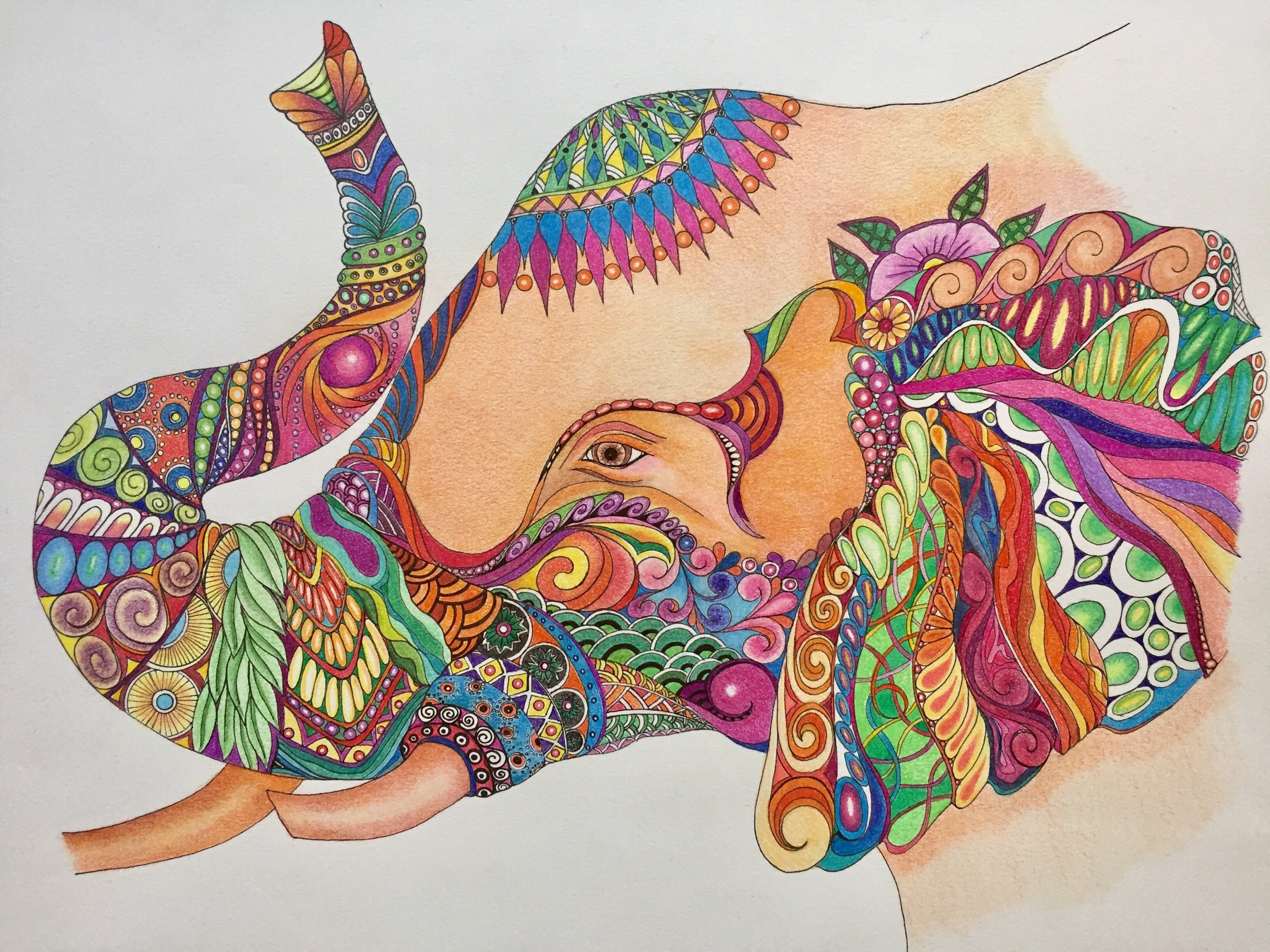 Zentangle Elephant Elephant Art Colored Zentangle Colored - Etsy Australia