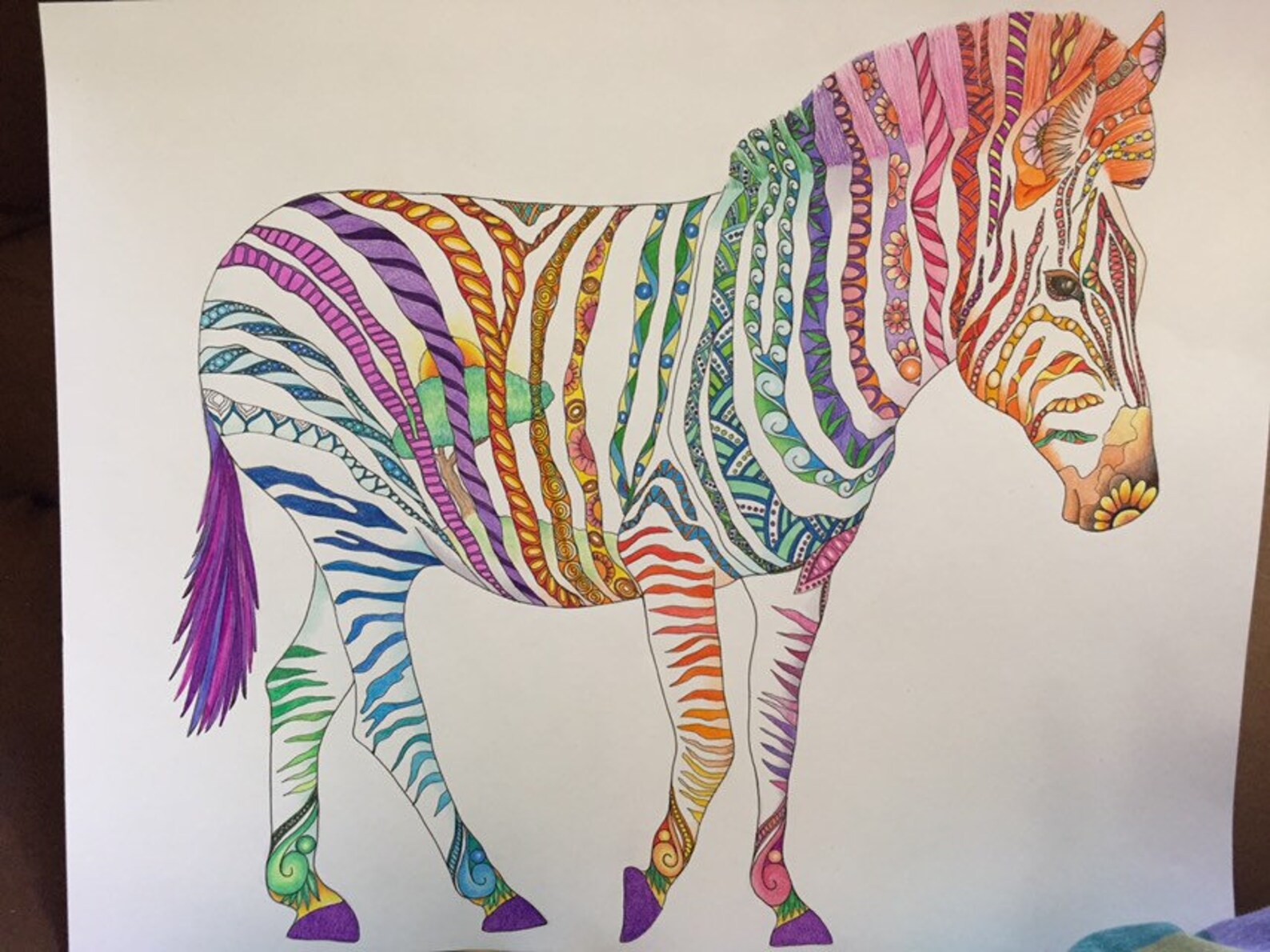 Animal Art Zebra Art Zebra Drawing Zentangle Zebra Colored - Etsy