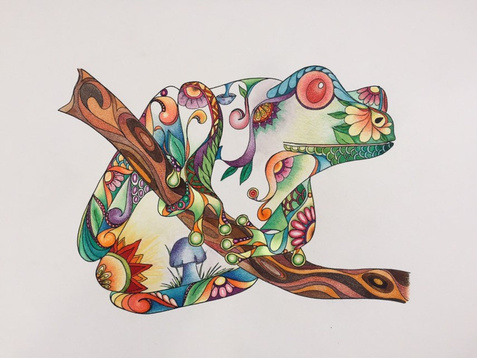 Zentangle Art Zentangle Frog Art Tree Frog Frog Drawing Frog | Etsy