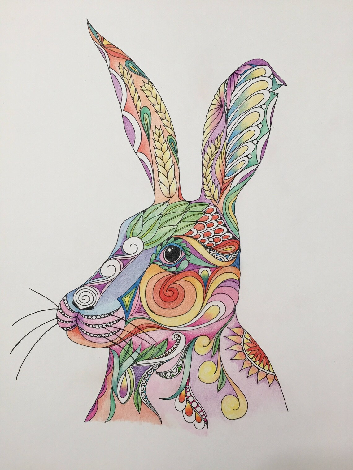 Zentangle Rabbit, Colored Rabbit, Rabbit Art, Colored Zentangle ...