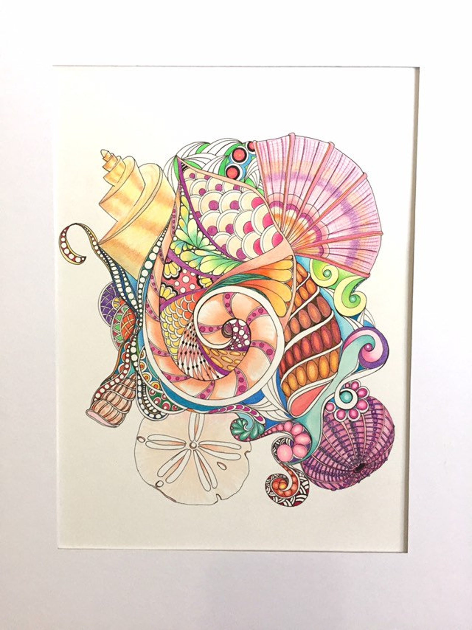 Seashells Zentangle Shells Seashell Art Marine Art Colored Shells Shell ...