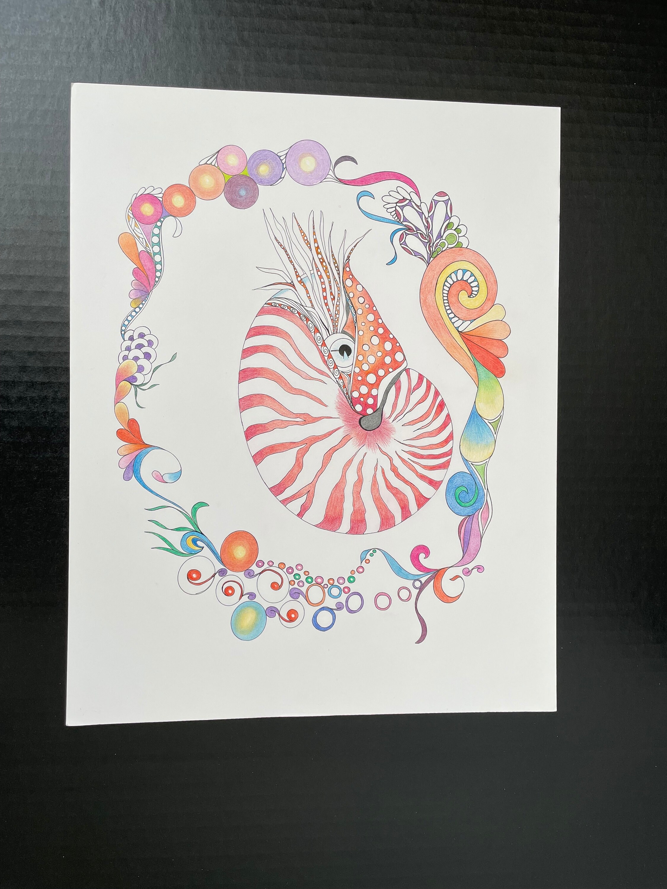 Zentangle Nautilus: 14 X 11 In. Marine Art Nautilus Art Colored ...