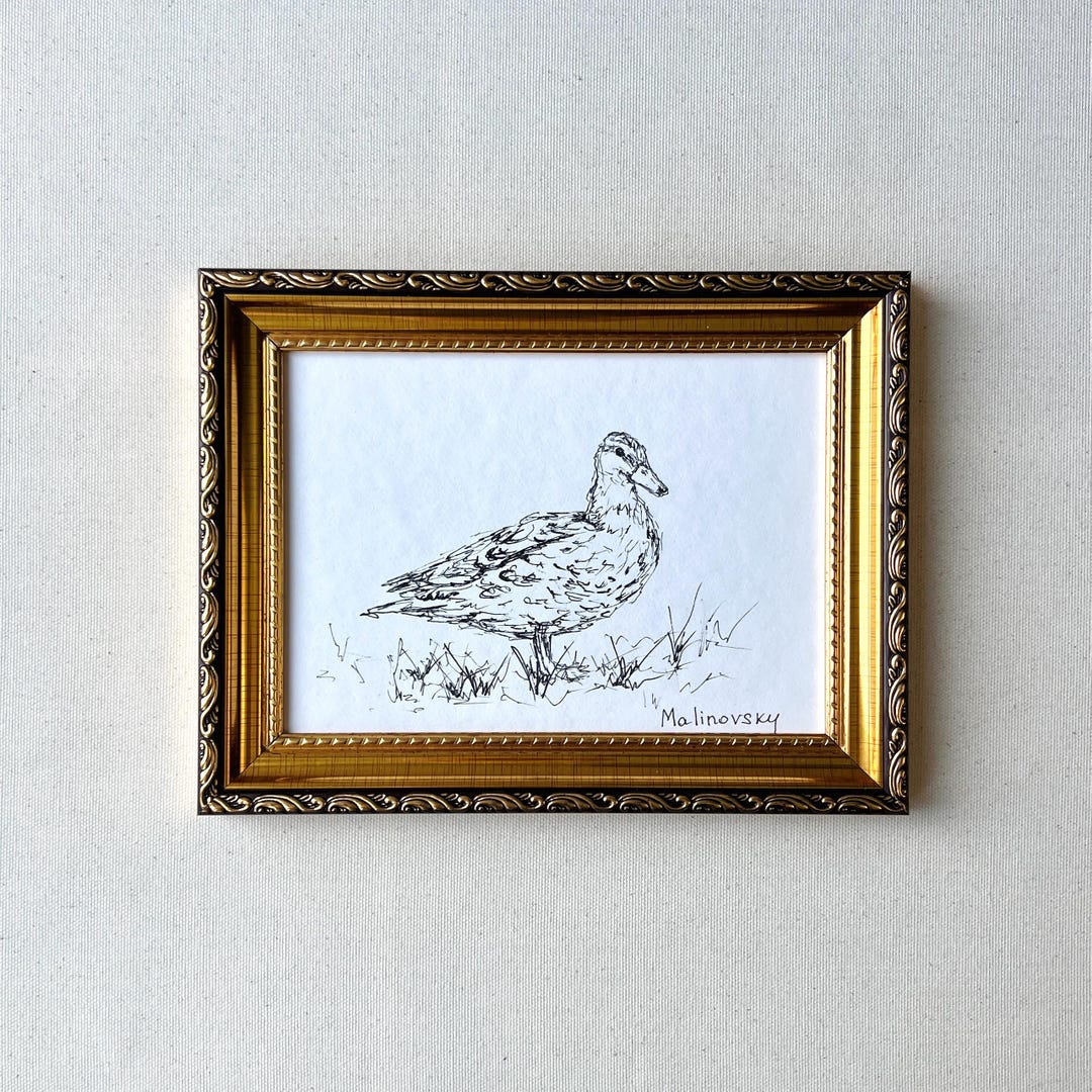 DUCK Sketch - Unframed Original Duck Ink Drawing - Minimalist Bird ...