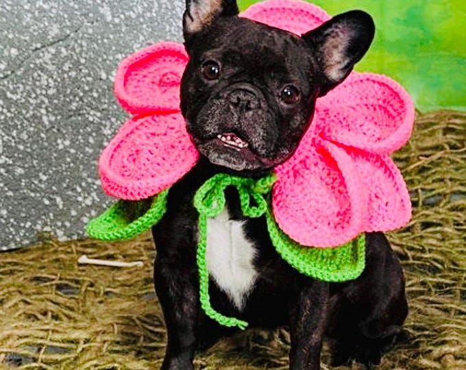 Dog Costume, Dog Collar, Blooming Flower Halloween Costume, Dog Clothes ...