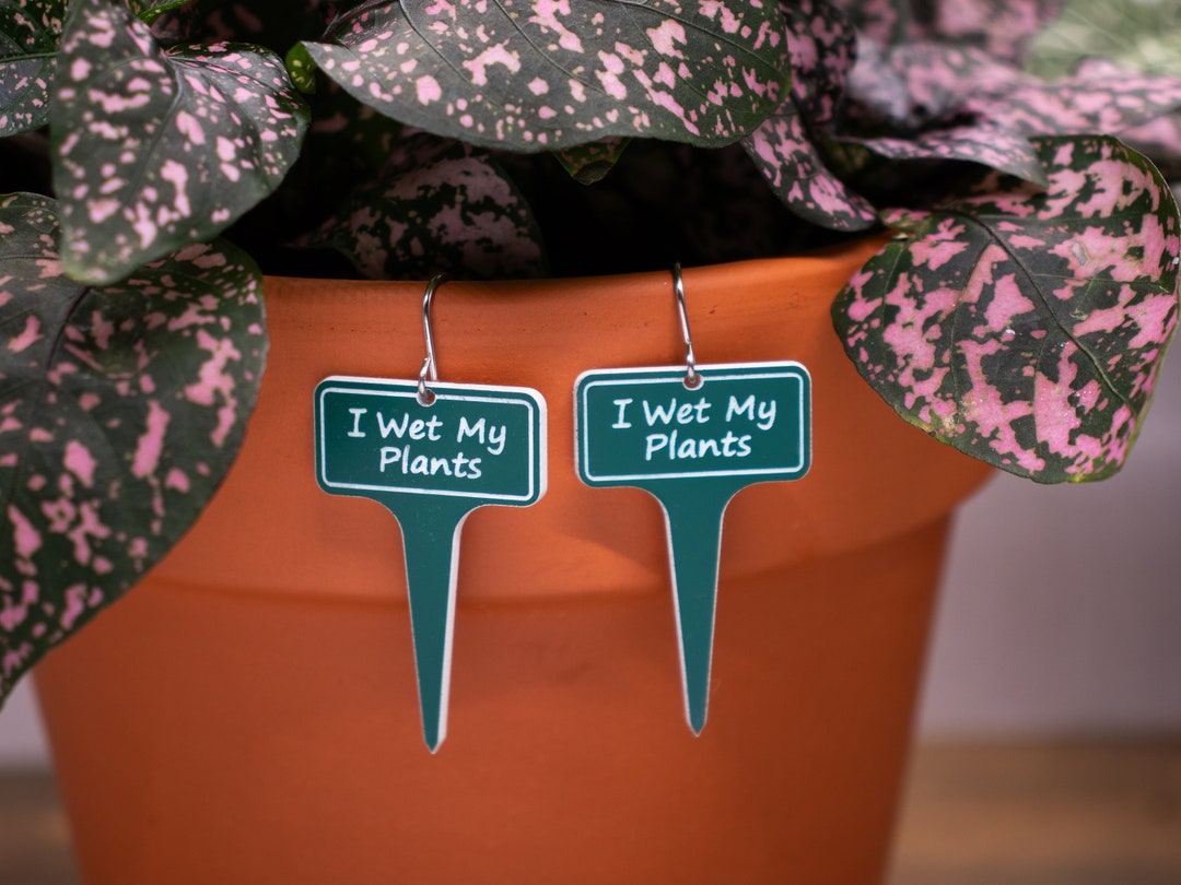 Funny Plant Stake Earrings: Crazy Plant Lady Gift, Funny Plant Labels ...