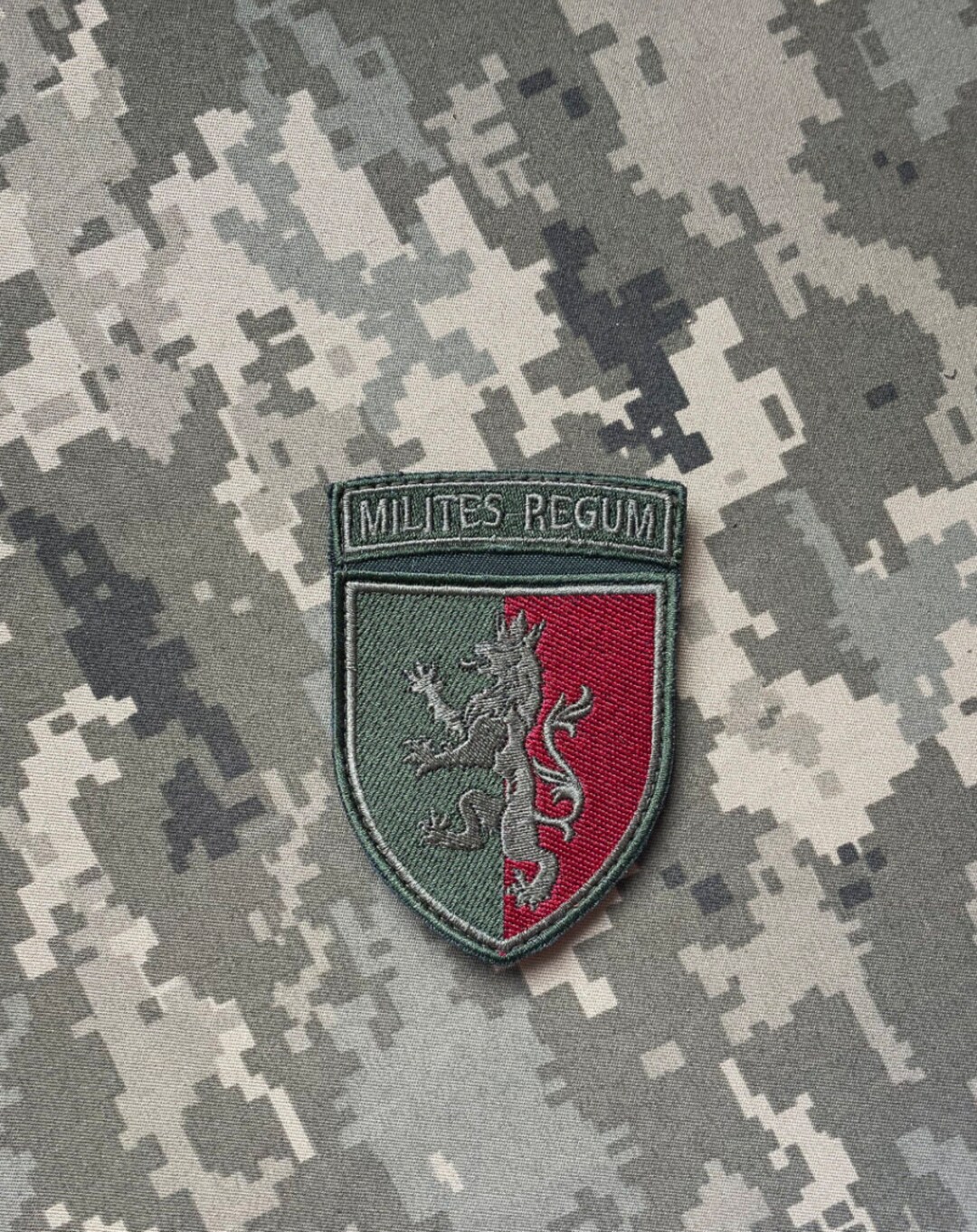 Ukraine Morale Patch, Ukrainian Lion Patch, Embroidered Patch, Trident ...