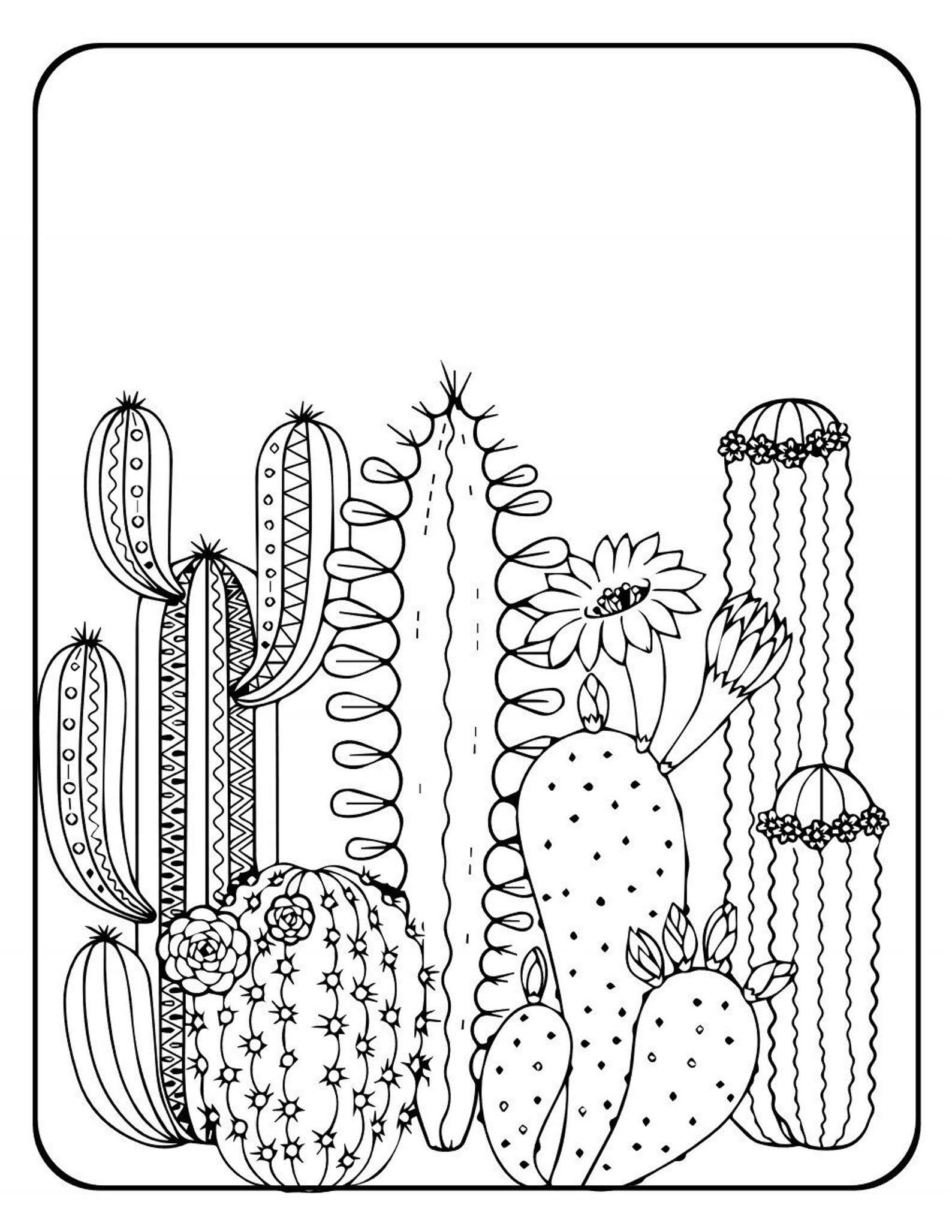 110 PRINTABLE Cactus Coloring Pages - Etsy
